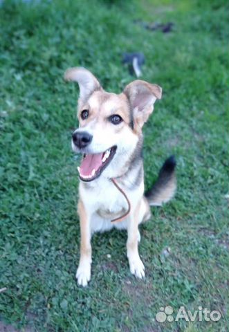 Молоденькая стерилизованная девочка