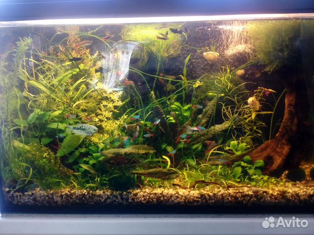 Аквариум 140л