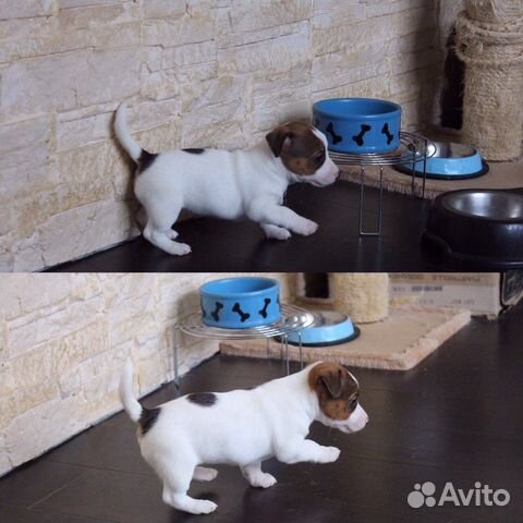 Девочки и мальчики