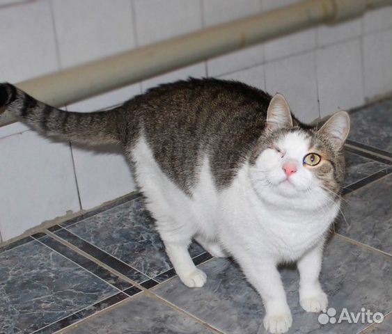 Толстушка Бонечка ищет новый дом