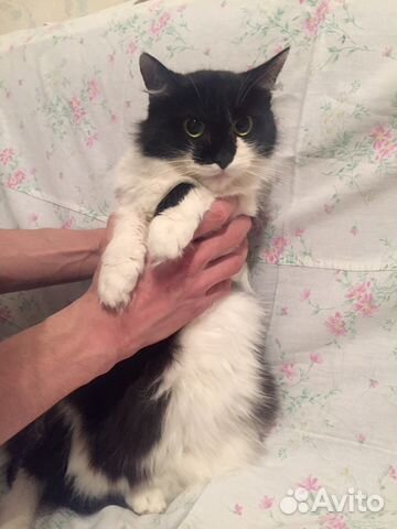 Маня ищет дом