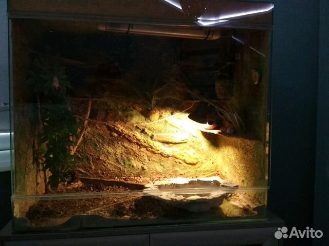 Террариум для домашних животных
