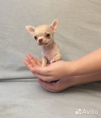 Супермини мальчик