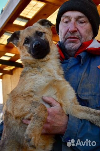 Классная девочка ищет дом