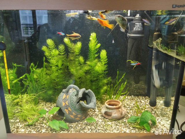 Аквариум 60л AquaPlus