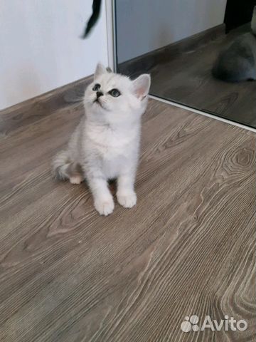 Подарок под ёлочку