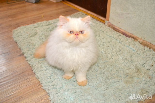 Белое облачко