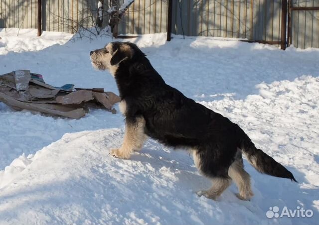 Звоночек в частный дом