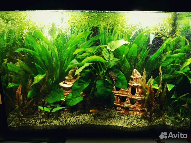 Аквариум 120л целиком либо частями