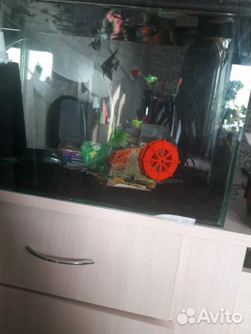 Аквариум