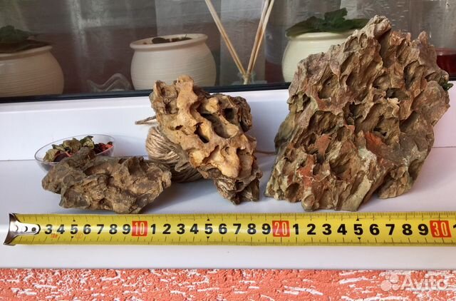 Камень Дракон