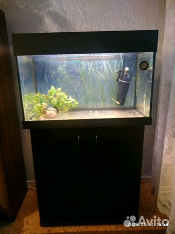 Аквариум