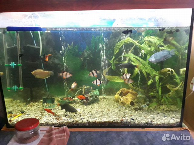 Украшение для аквариума