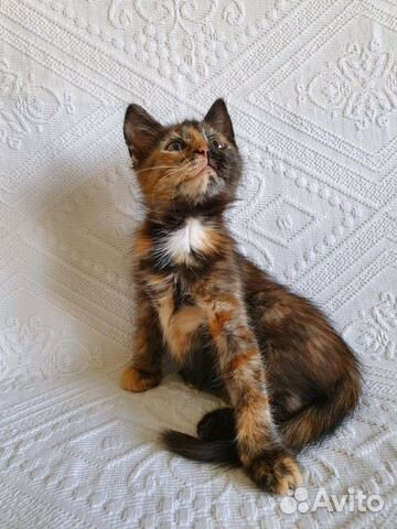 Малышка на счастье