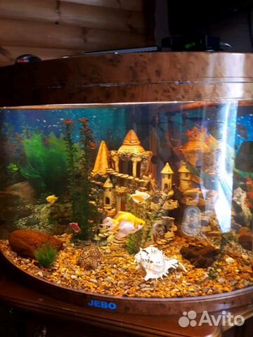 Угловой аквариум Jebo 470 (186 л.)