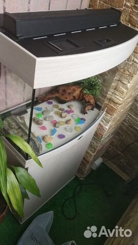 Панорамный Аквариум и тумба Биодизайн Панорама 60