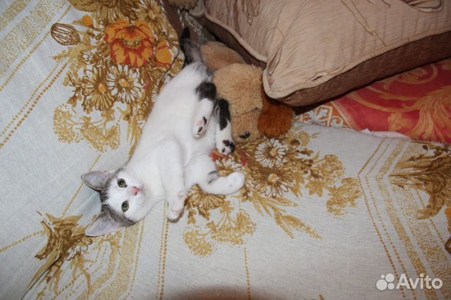 Снежинка крошка в добрый дом