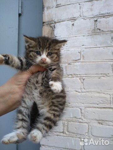 Малыша выбросили на улицу