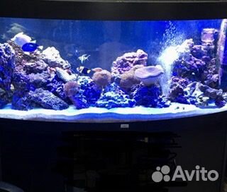 Морской аквариум Ювель 450