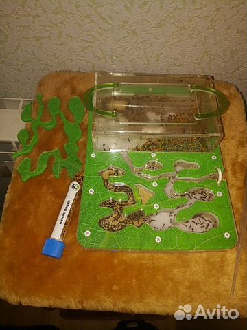 Муравьиная ферма,Antplanet