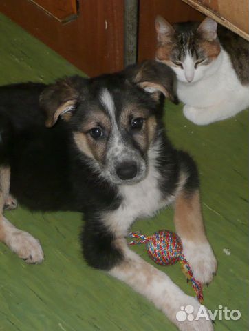 Девочка 4 месяца