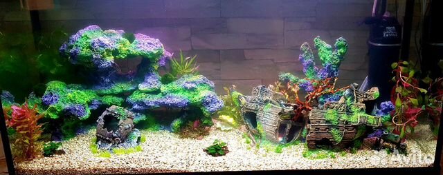 Украшения для аквариума