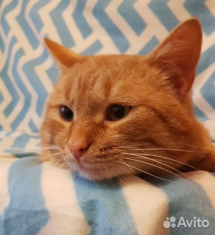 Пуфик)
