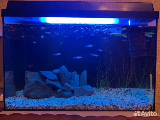 Аквариум 80 л