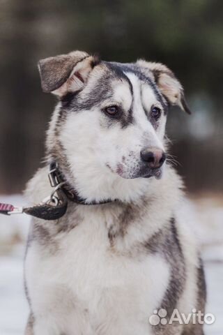 Бесподобная девочка