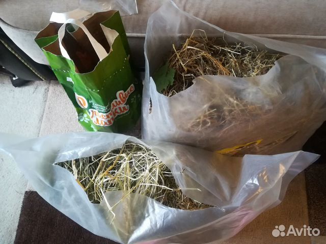 Корм кроликам