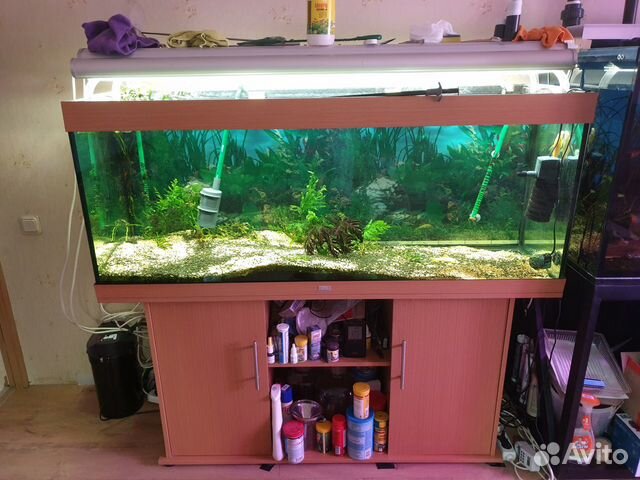 Аквариум juwel Rio 450