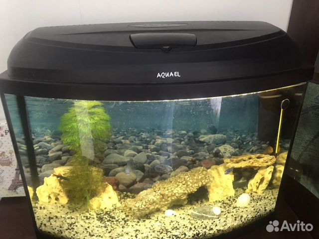 Аквариум 75 л Aquael