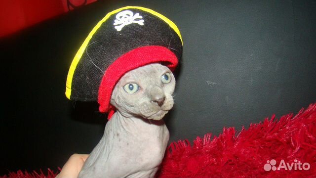 Голубой Аватар