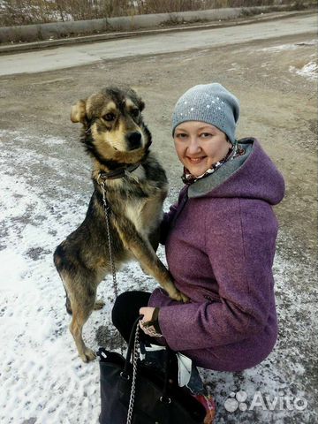 Пермский Хатико ищет дом