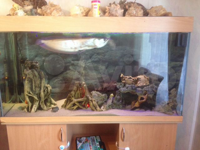 Арована Серебряная