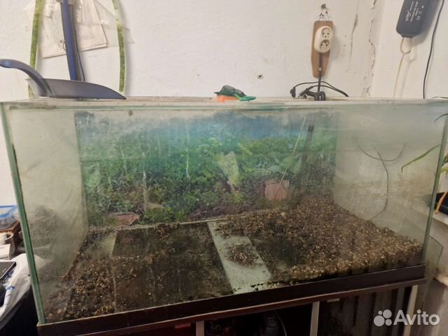 Аквариум 250 литров
