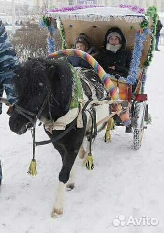 Продам пони