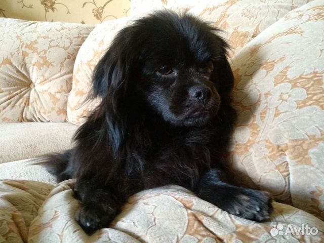 Чудо чудное, мелкий парнишка