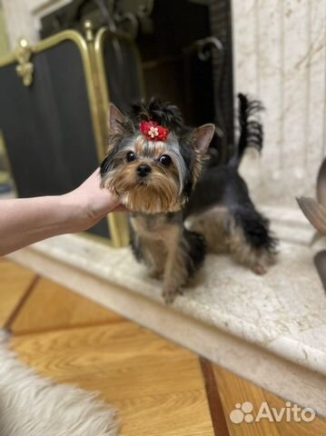 Кукольный курносик мини