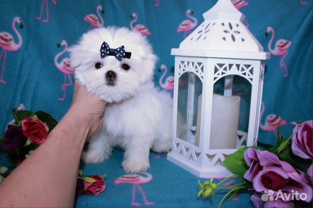 Кукольный мини мальчик 2,5 мес