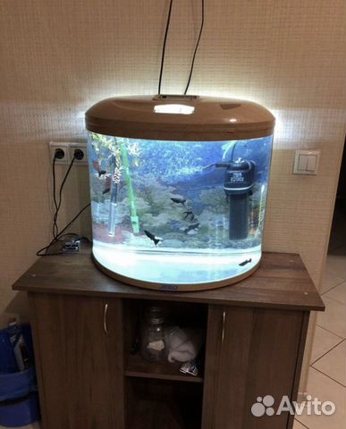 Акварикм Jebo r760