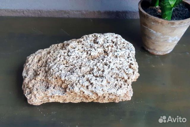 Островок для земноводных из природного ракушечника