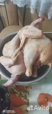 Куры бройлеры деревенские