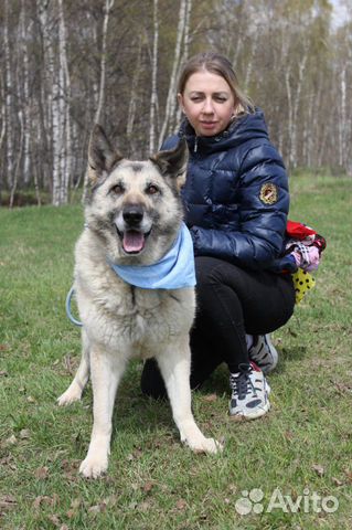 У собаки должен быть свой человек
