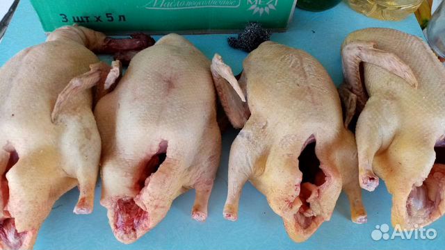 Мясо Утки бройлера