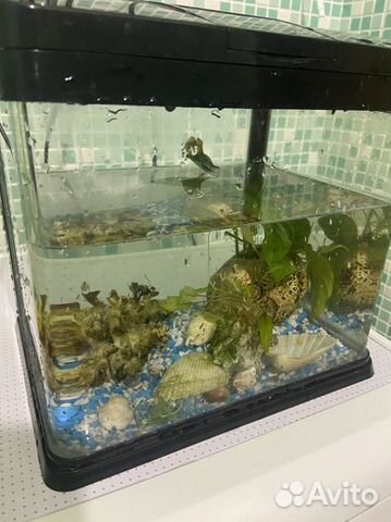 Аквариум