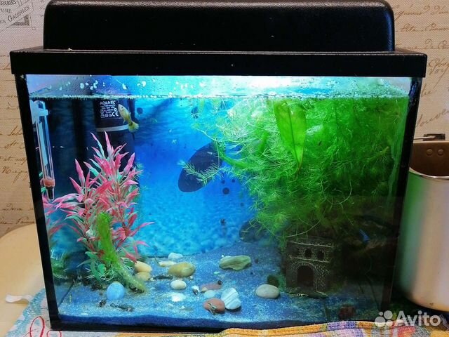 Аквариум 25л