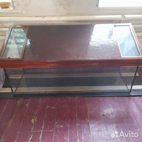 Аквариум,терариум