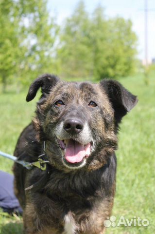 Никому не нужная девочка