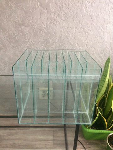 Инкубатор для цихлид